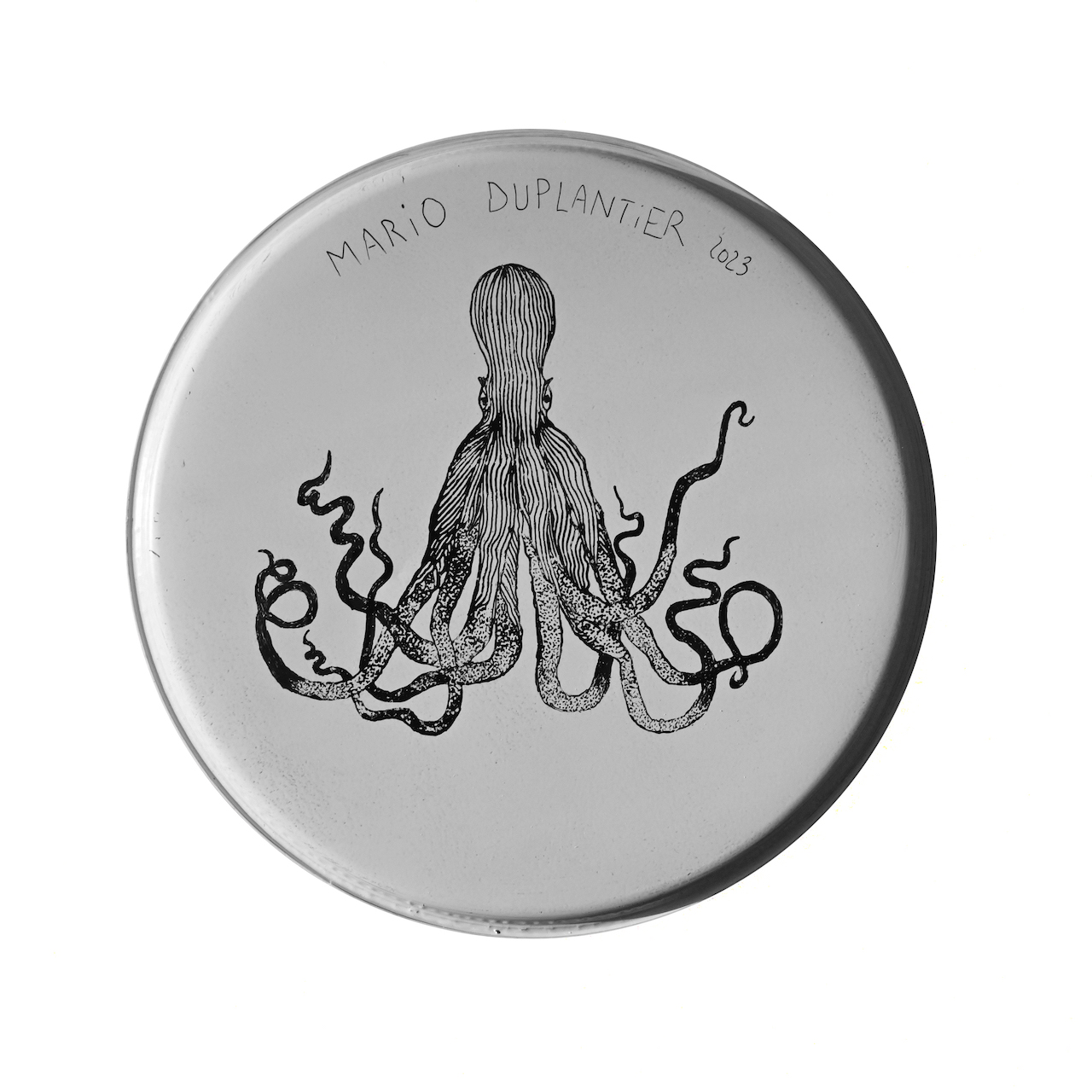 Octopus From Naples – Mario Duplantier Art Gallery