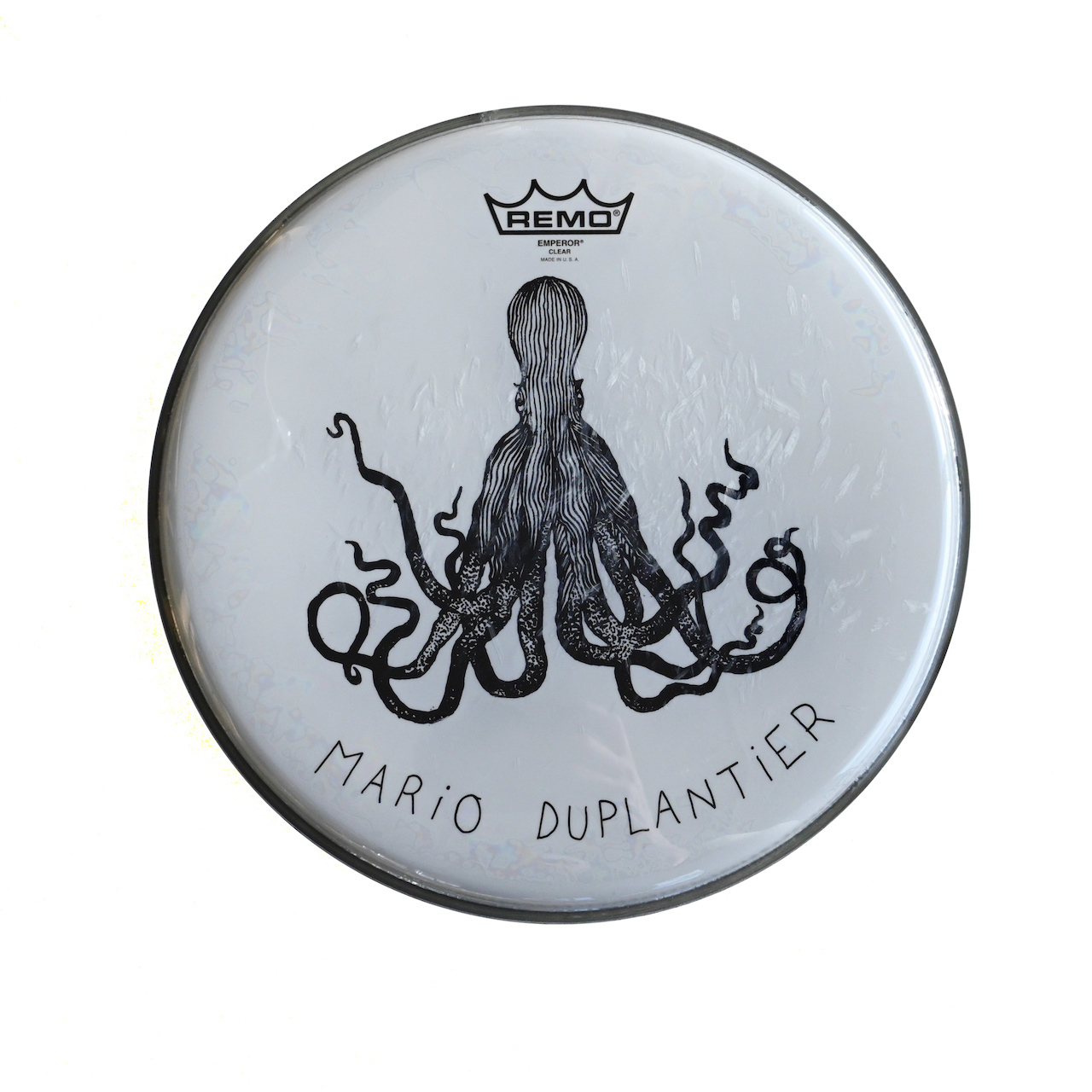 Octopus from Belfast – Mario Duplantier Art Gallery